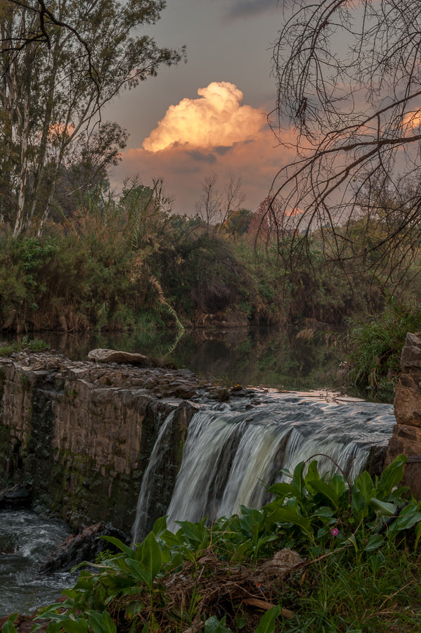 Robyn Park – Arnold Manda Fotografía | Shop